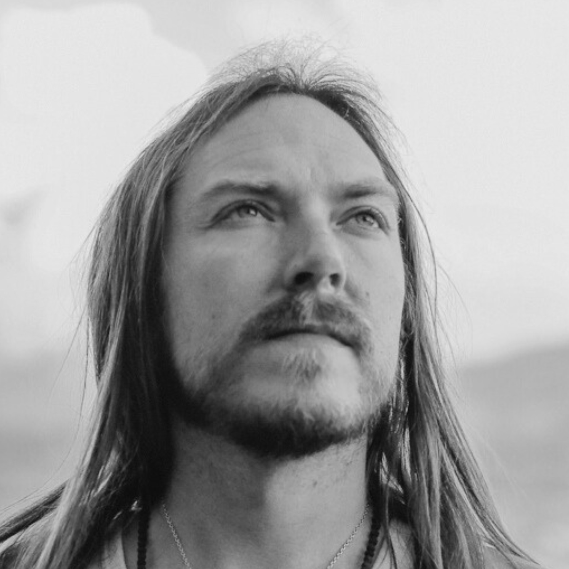 Meet the team – Morpho Bleu